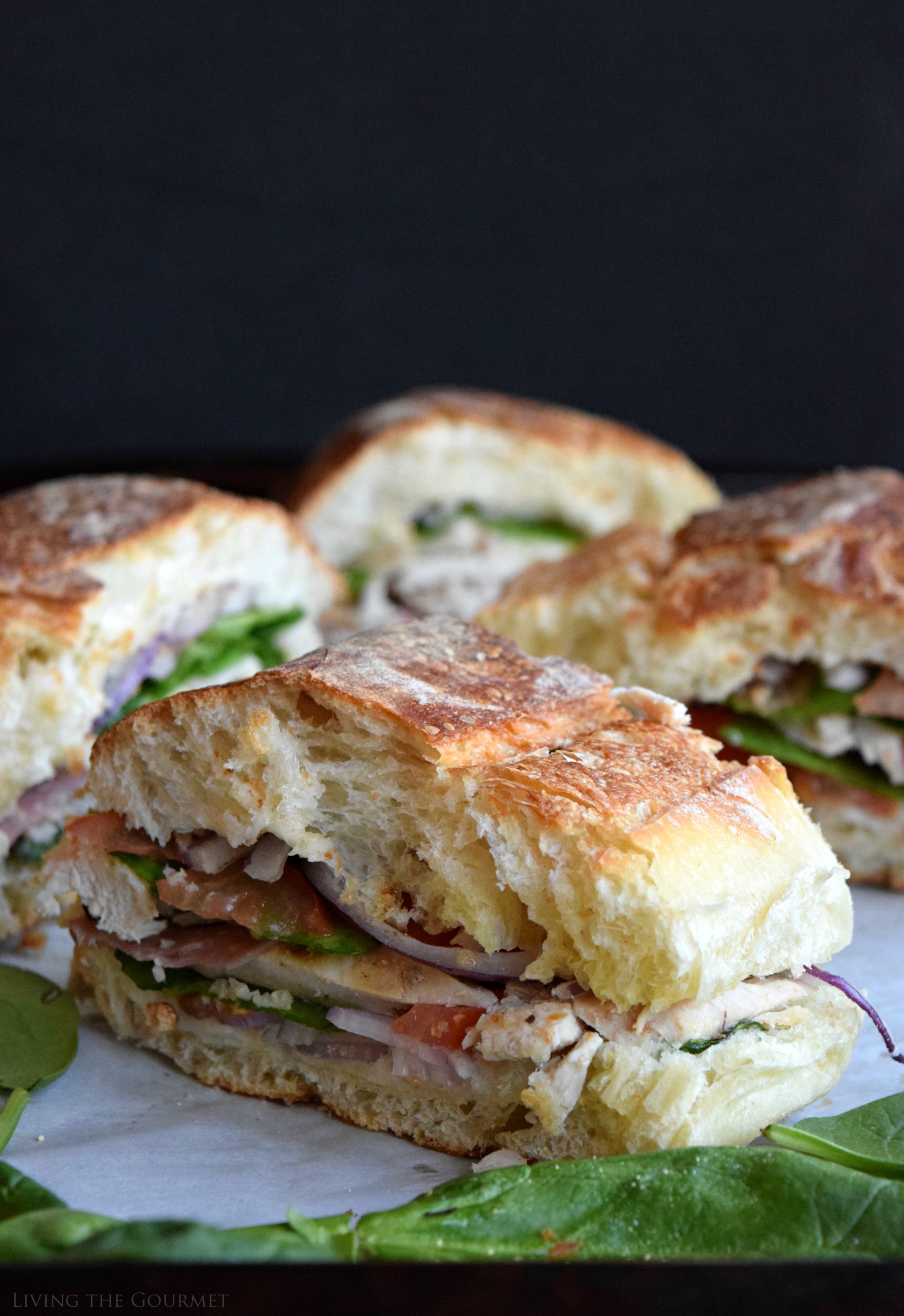 Turkey and Provolone Panini - Living The Gourmet