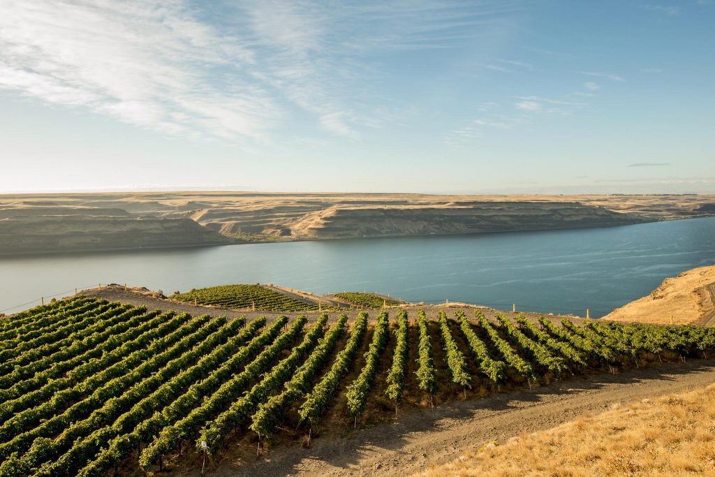 Autumn with Pacific Rim - Living The Gourmet