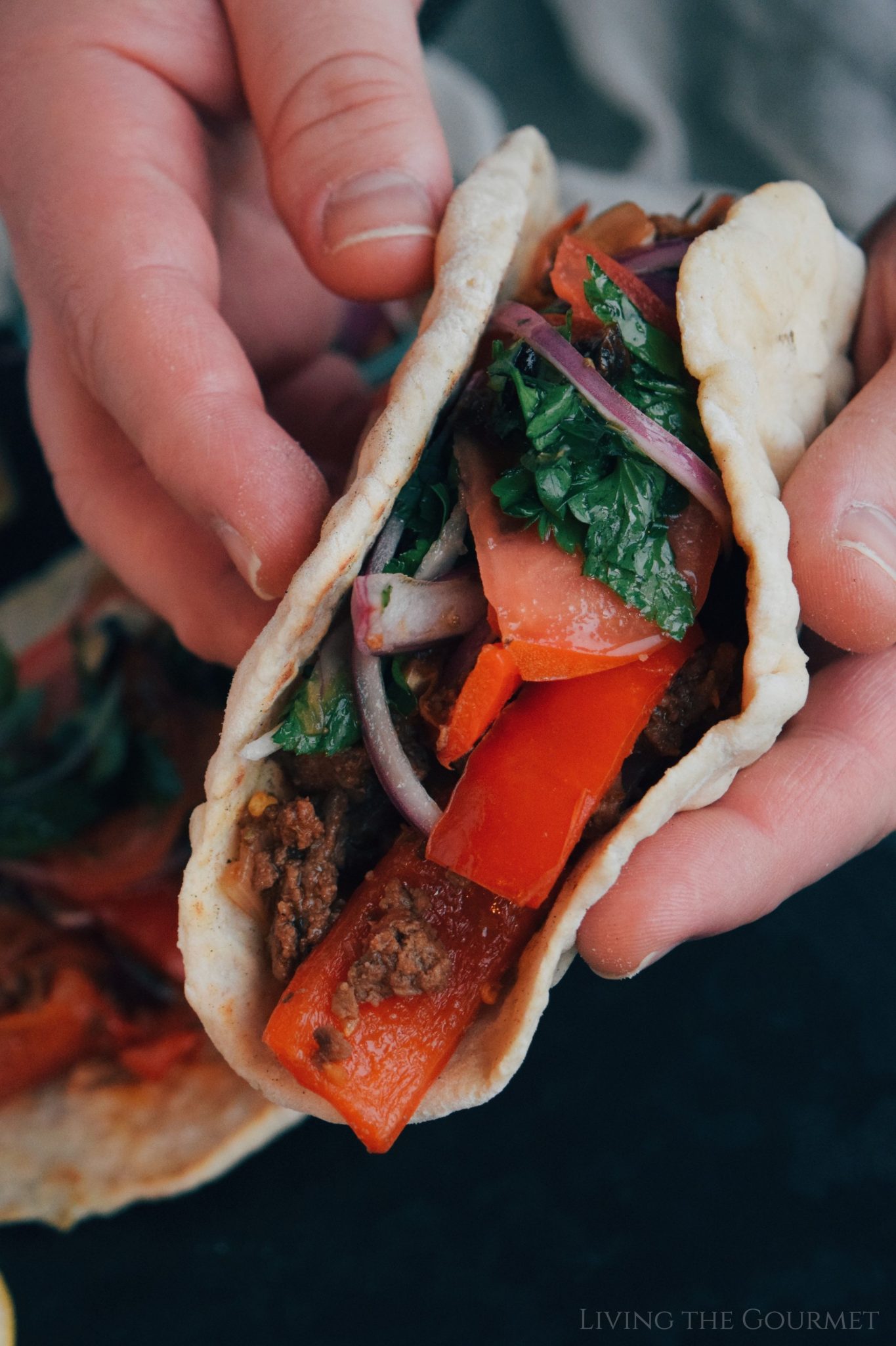 Greek Tacos - Living The Gourmet