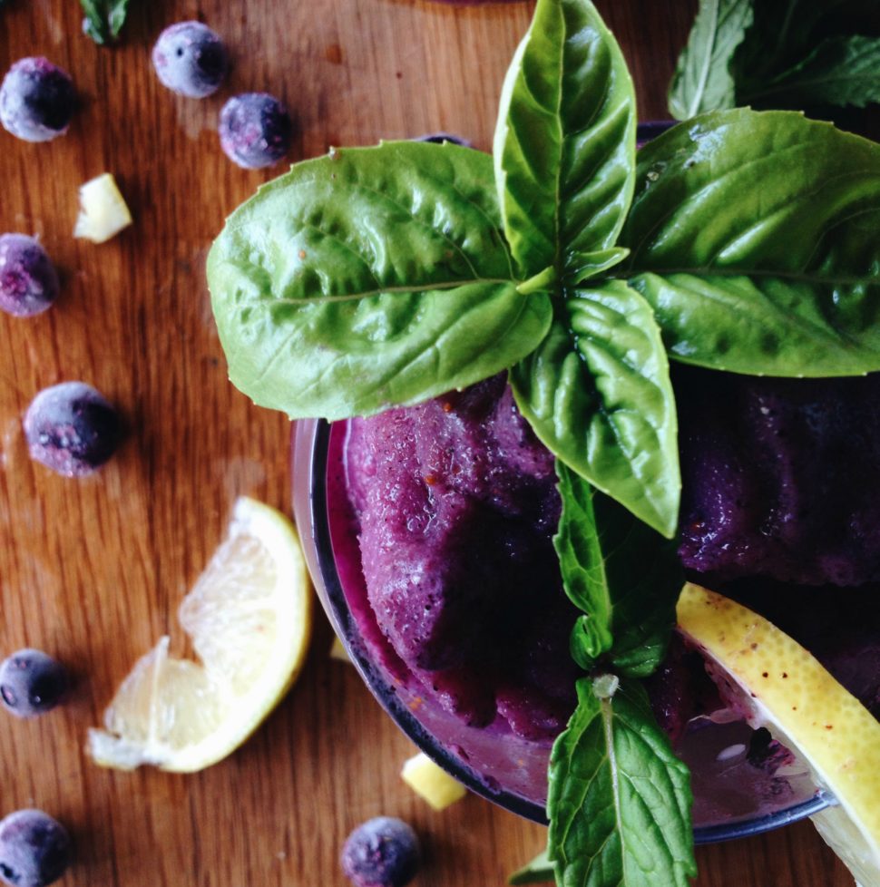 Fresh Blueberry Slushy - Living The Gourmet