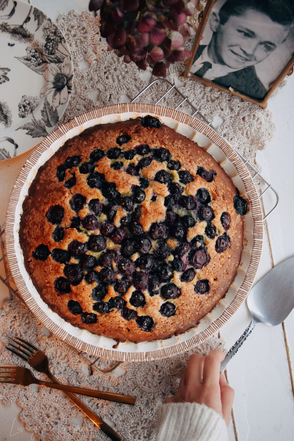 Simple Blueberry Cake - Living The Gourmet