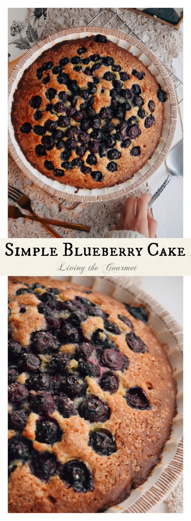 Simple Blueberry Cake - Living The Gourmet