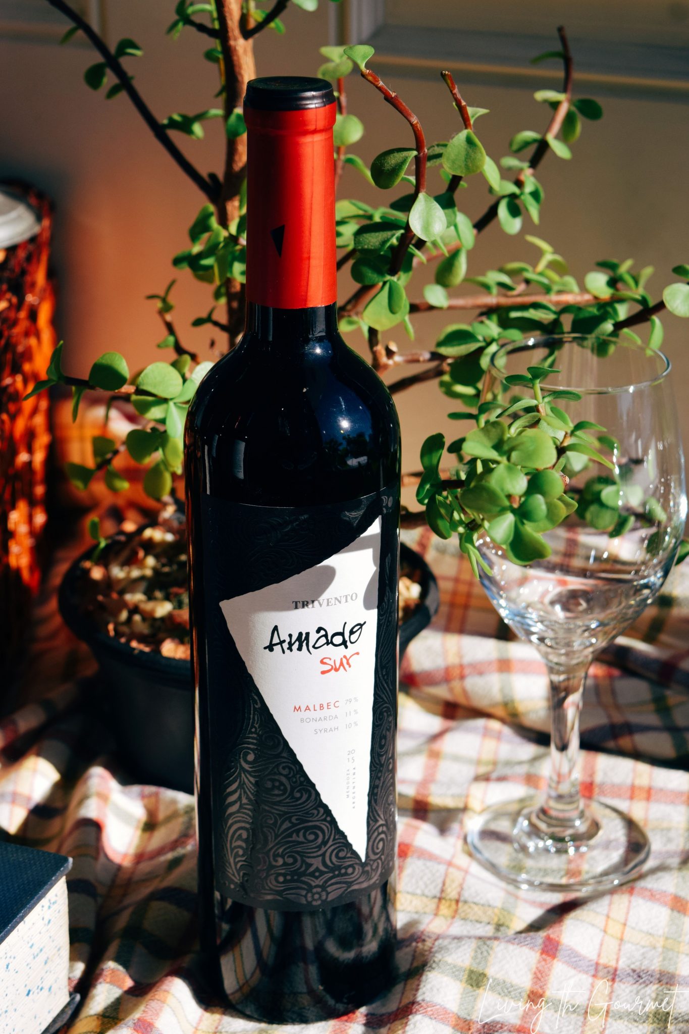 Wines of Argentina - Living The Gourmet