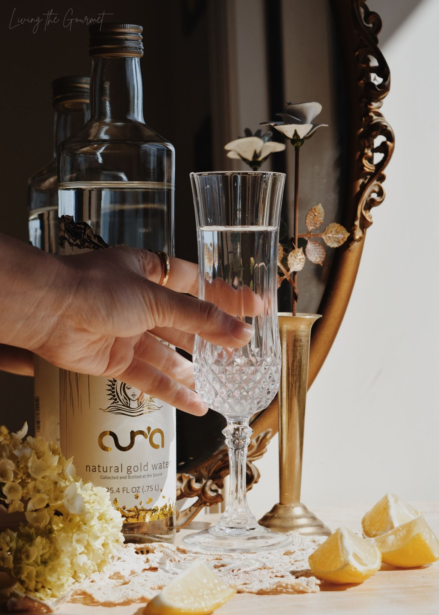 The Fountain of Youth - Living The Gourmet