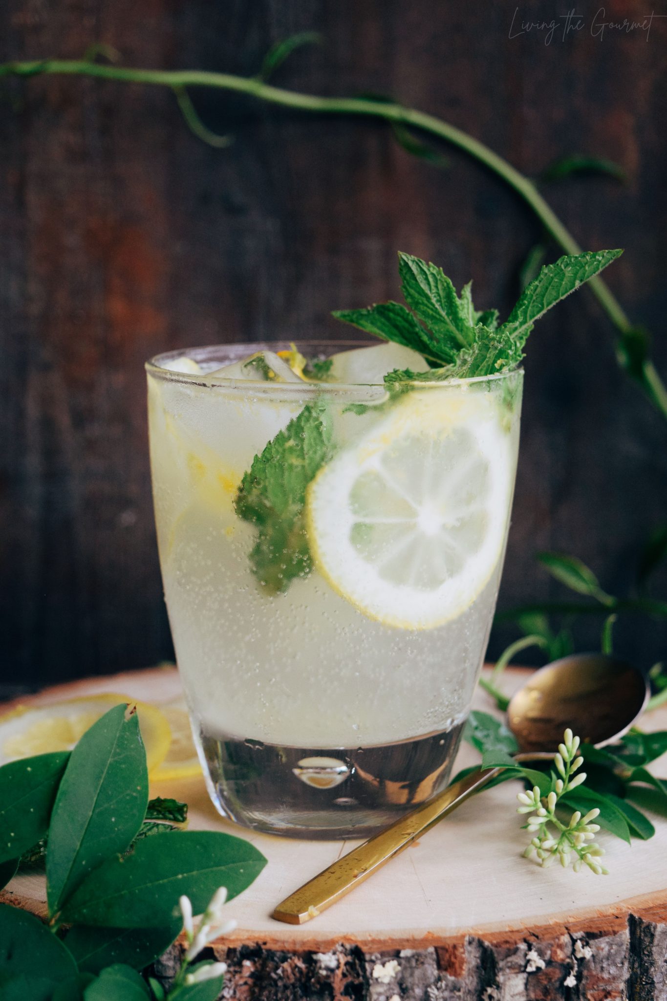 Botanical Gin Lemonade - Living The Gourmet
