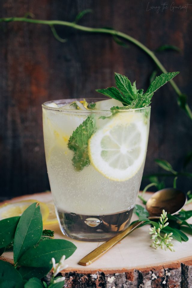 Botanical Gin Lemonade - Living The Gourmet