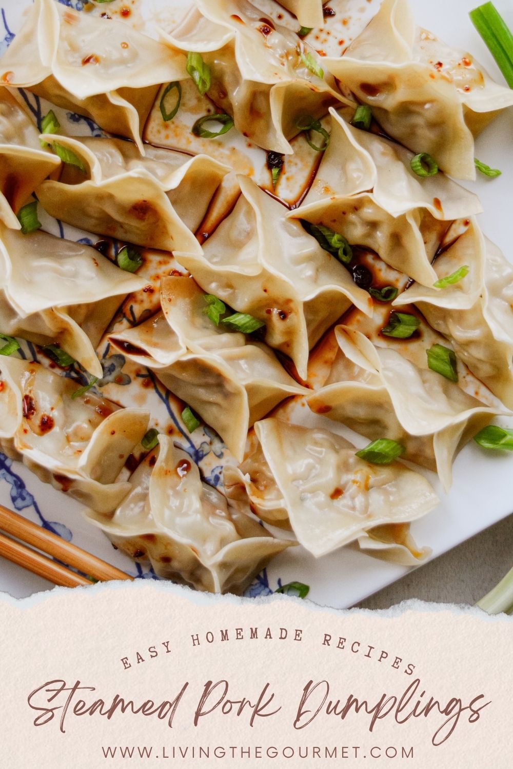 Steamed Pork Dumplings - Living The Gourmet