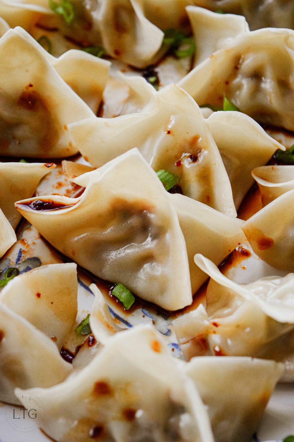 Steamed Pork Dumplings - Living The Gourmet