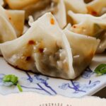 Steamed Pork Dumplings - Living The Gourmet