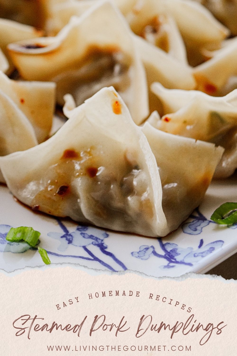 Steamed Pork Dumplings - Living The Gourmet