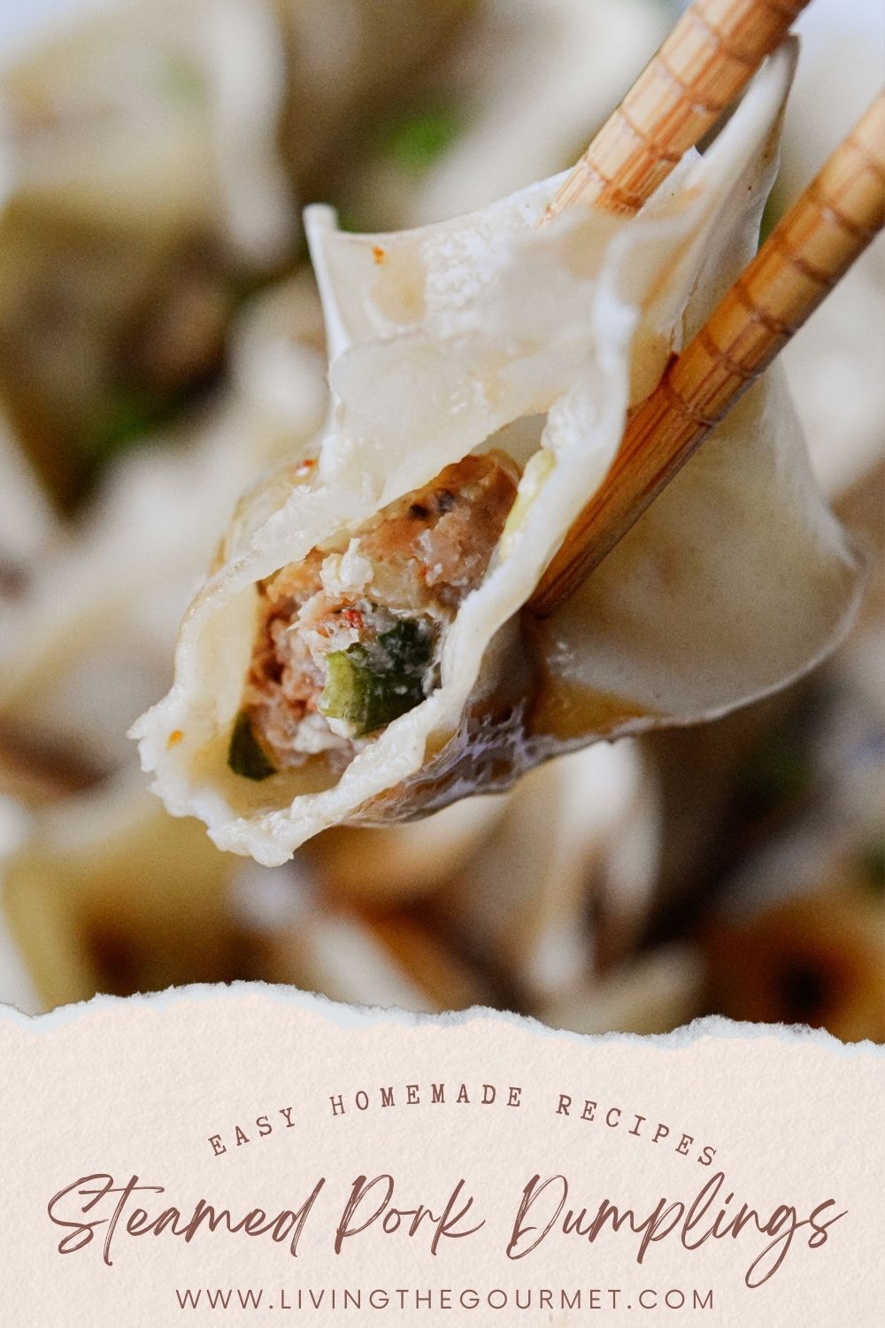 Steamed Pork Dumplings - Living The Gourmet